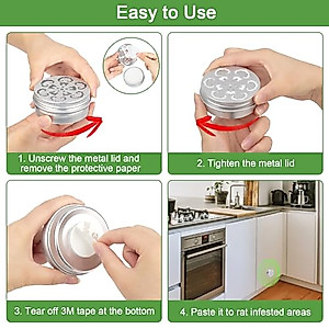 4 Pack Rodent Repellent for Car Engines, Peppermint Oil to Repel Mice and Rats, Mouse Repellent Keep Rodents Out of Car Rat Repellent for House Mice Repellent Outdoor