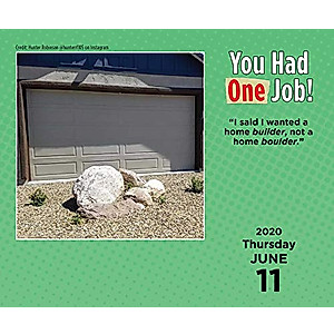 You Had One Job 2020 Day-to-Day Calendar
