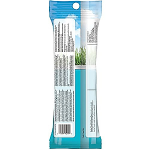 Kaytee Treat Stick Honey Flavor -- Hamster and Gerbil Value Pack 8 oz