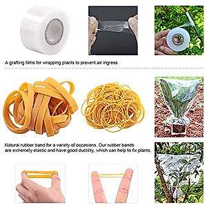 Glarks Professional Garden Fruit Tree Plant Pruning Shears Grafting Cutting Tool Kit with Grafting Tape Rubber Bands