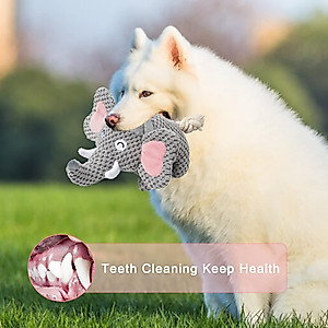 YYDSFEIOU Stuffed Dog Toys, Interactive Squeaky Dog Toys Chew Toys Durable Plush Dog Toy with Crinkle Paper for Small Medium Large Dogs Puppy Toys Pet Toys Elephant Design