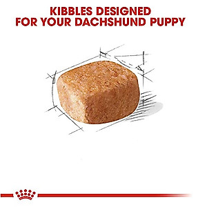 Royal Canin Breed Health Nutrition Dachshund Puppy Dry Dog Food, 2.5 lb