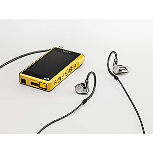 Sony IER-Z1R Signature Series in-Ear Headphones (IERZ1R),Black/Silver