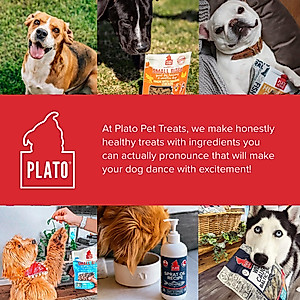 PLATO Pet Treats Small Bites - Air-Dried Training Treats for Dogs - Supports Healthy Digestion - Limited Ingredients - Lamb 2.5oz