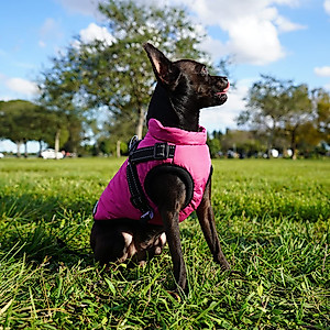 MOKIMA Small Dog Warm Jacket with Leash Attachment - Winter Small Dog Sweater Coat - Small Dog Clothes for Indoor and Outdoor Use - Water Resistant - (Small, Grey)