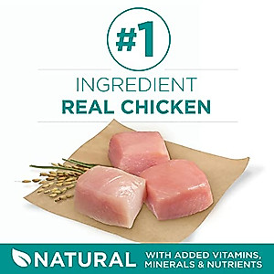 Purina ONE Dog Digestive Support, Natural Dry Dog Food, +Plus Digestive Health Formula - 31.1 lb. Bag