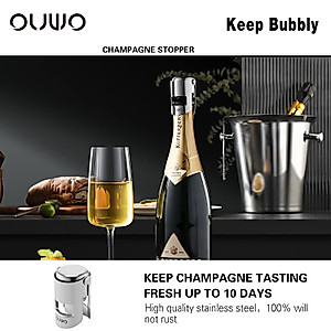 OUWO Champagne Stopper 6 Pack Stainless Steel Champagne Save with Food Grade Silicone，Leak-Proof Bubble Retaining Saver，Suitable for Champagne Prosecco Cava and Sparkling (Silver)