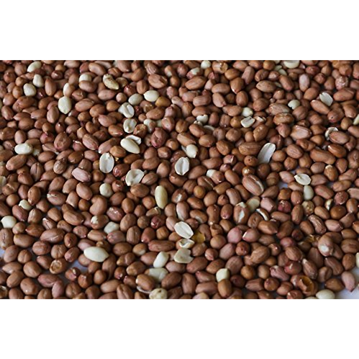 Wakefield Virginia Peanuts Bulk 45LB Bag Shelled Animal Peanuts for Squirrels, Birds, Deer, Pigs and a Wide Variety of Wildlife, Raw Peanuts/Bulk Nuts/Blue Jays/Cardinals/Woodpeckers
