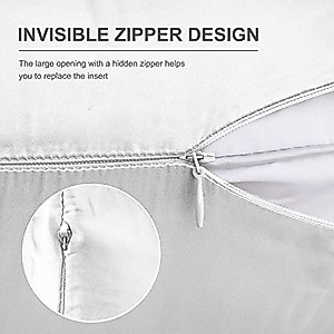 100% Mulberry Silk Pillowcase for Hair and Skin, Dafinner Standard Size Pillow Case 2 Pack with Hidden Zipper, 20x26, White