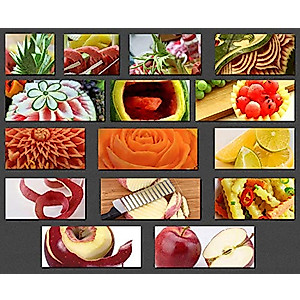 Hovico 18PCS Portable Vegetable Fruit Food Cake Carving Knife Peeling Culinary Kitchen Sculpting Modeling Tools Kit for Chef DIY with Carry Box