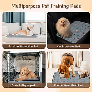 Bregdosy Super Absorbent Washable Pee Pads for Dogs Large 31"x24",2Pack Reusable Dog Pee Pads, Non-Slip and Leak-Proof Potty Pads,Puppy Pads Pet Training Pads for Whelping,Potty Training…