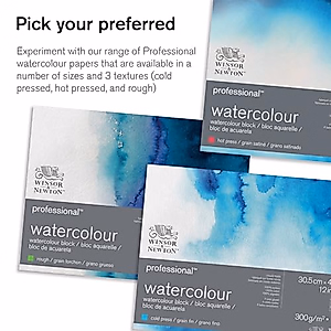 Winsor & Newton Professional Watercolor, 14ml (0.47-oz) Tube, Payne's Gray