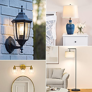 Dimmable A19 Clear LED Light Bulbs 60W Equivalent, 2700K Soft Warm White Light Bulbs 6W E26 Base, Antique Edison Bulbs for Living Room Bedroom Outdoor, 6Packs