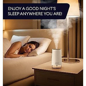 GENIANI Portable Small Cool Mist Humidifiers 250ML - USB Desktop Humidifier for Plants, Office, Car, Baby Room with Auto Shut Off & Night Light - Quiet Mini Humidifier (White)