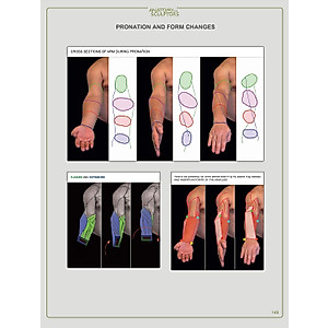 Anatomy For Sculptors, Understanding the Human Figure