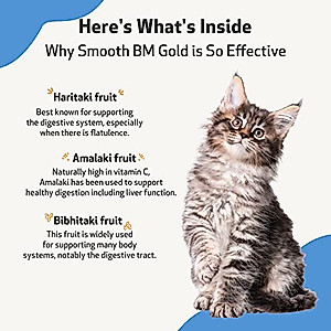 Pet Wellbeing Smooth BM Gold for Cats - Gentle Constipation Relief for Felines - Natural Herbal Supplement 2 oz (59 ml)