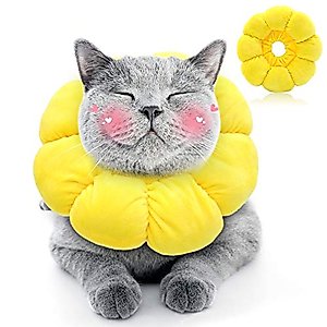 HYLYUN Cat Recovery Collar - Cute Sun Flower Neck Cat Cones After Surgery, Adjustable Cat E Collar, Surgery Recovery Elizabethan Collars for Kitten and Cats