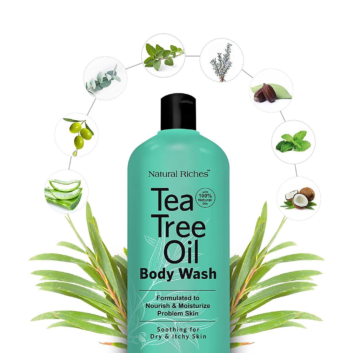 Natural Riches Tea Tree Oil Body Wash, 16 fl oz - Soothing, Calming, and Hydrating for Normal, Combination, Sensitive, Oily, and Dry sensitive skin bodywash