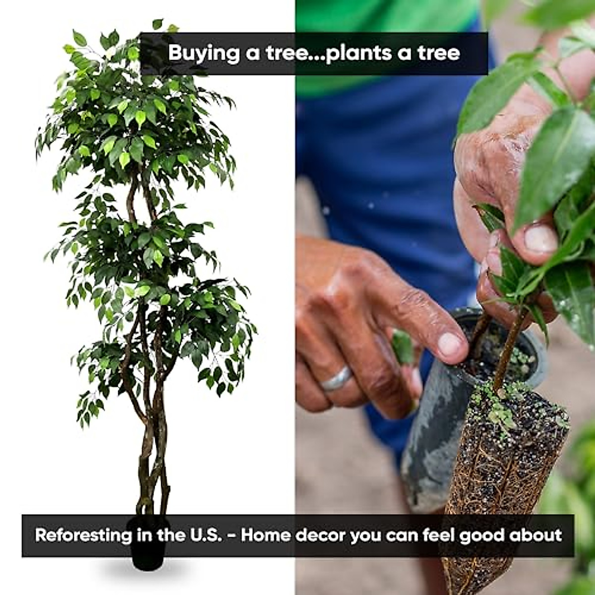 Hand-Made 6.5' Ficus Artificial Tree with Ethically Sourced Real Wood Trunks | Green | Cypress & Alabaster