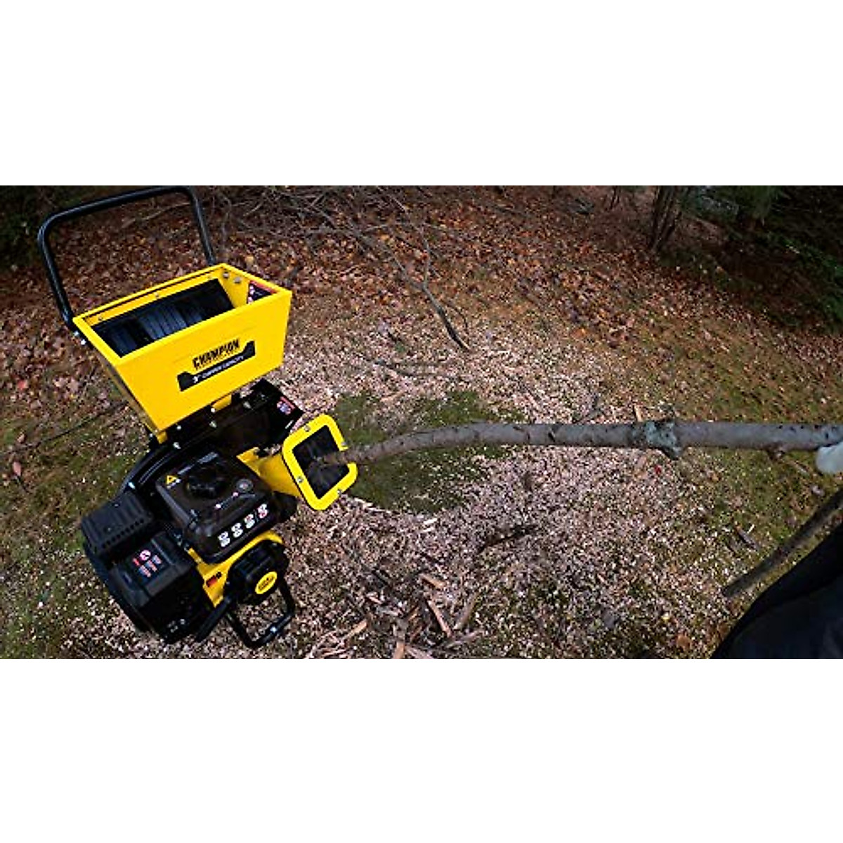 Champion Power Equipment 200905 3-Inch Portable Chipper-Shredder with Collection Bag