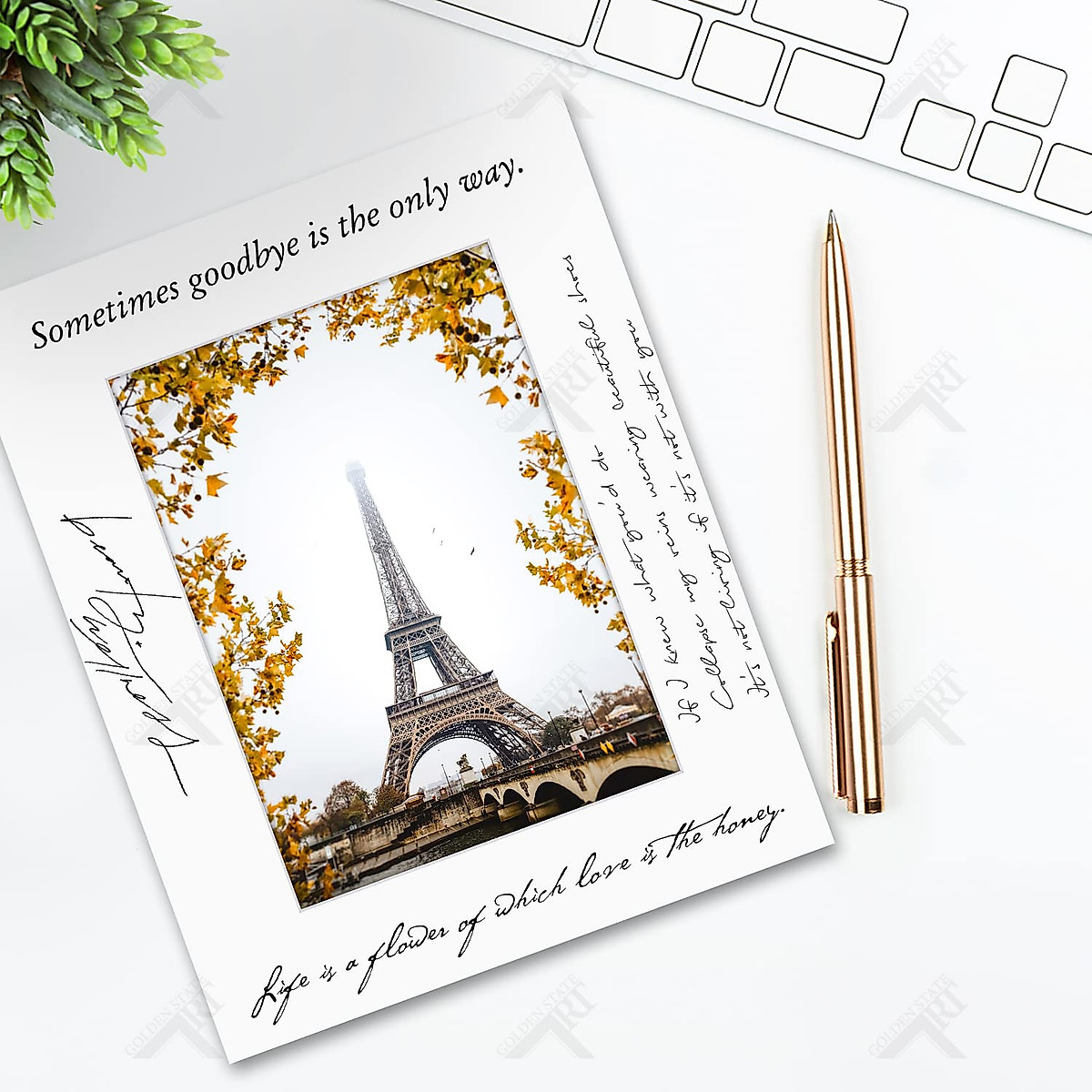 Golden State Art, 8x10 White Picture Mats with White Core Bevel Cut for 5x7 Pictures (Pack of 10 Mats)