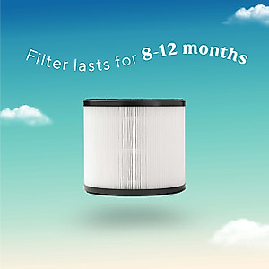 Bionaire® True HEPA 360° Air Filter