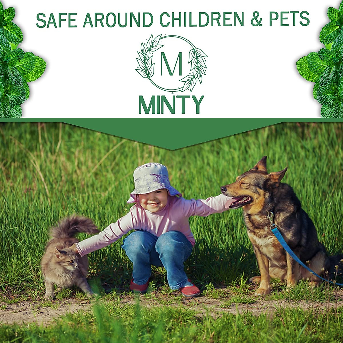 Minty Insect & Pest Control, Powerful & Natural 5% Peppermint Oil Spray for Ants, Spiders, Bed Bugs, Dust Mites, Roaches and More - Indoor and Outdoor Use, 128 fl oz Gallon