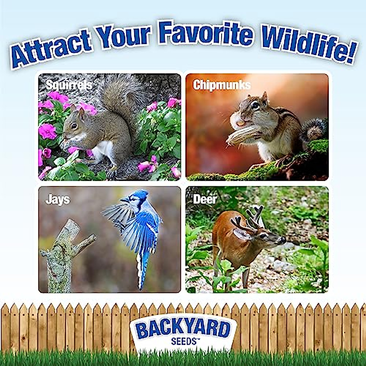 Backyard Seeds Squirrel & Friends Wildlife Chipmunk Food Mix 8 Pounds