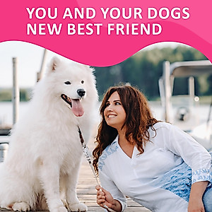 ROXXAM Dog Mouthwash: Advanced Dental Care Water Additive for Dogs | Keep Dog Breath Fresh and Teeth Clean | Supports Gum Health | Eliminates Bad Breath, Whitens Teeth, Prevents Cavities