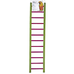 You & Me Bird 12-Step Wood Bird Ladder, 23.5" L