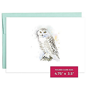 L'apostrophe Polar Bear, Seal, Fox, Snowy Owl Note Cards - Blank Inside with Envelopes - Greeting Notecards - Watercolor Set of Winter Animals  - Thank You Notes