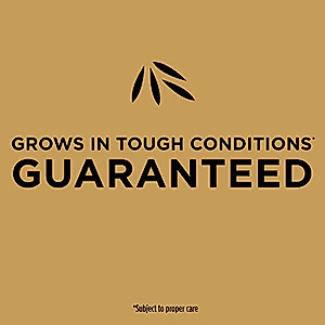 Scotts EZ Seed Patch and Repair Bermudagrass, 20 lb. - Combination Mulch, Seed, and Fertilizer - Tackifier Reduces Seed Wash-Away - Even Grows in Scorching Heat - Covers up to 445 sq. ft.