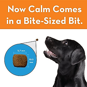 ThunderWunders Dog Calming Chews | Thiamine, L-Tryptophan, Melatonin and Ginger | Can Help Relieve Stress from Separation, Storms, Fireworks & Travel (180 Count)