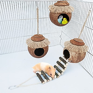 Joayuezo Gecko Coconut Husk Hut Bird Cage Hamster Cage Hanging Natural Coco Shell Hut Hide Toy for Gecko, Reptiles, Amphibians and Small Animals (B)