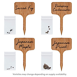 Premium Bonsai Tree and Deluxe Succulent & Cactus Seed Starter Kit - Includes a Grow Guide