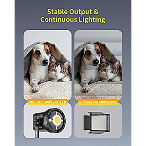 RaLeno 80W LED Studio Video Light, Continuous Lighting with 5600K 7200Lux@1M CRI 95+ Brightness Adjustable, Efficiency Cooling Fan and Bowens Mount, for YouTube Outdoor Video Recording Photography