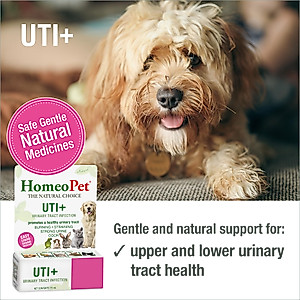 HomeoPet UTI Plus Urinary-Tract Relief, Supportive UTI Medicine for Dogs, Cats, and Other Pets, 15 ml