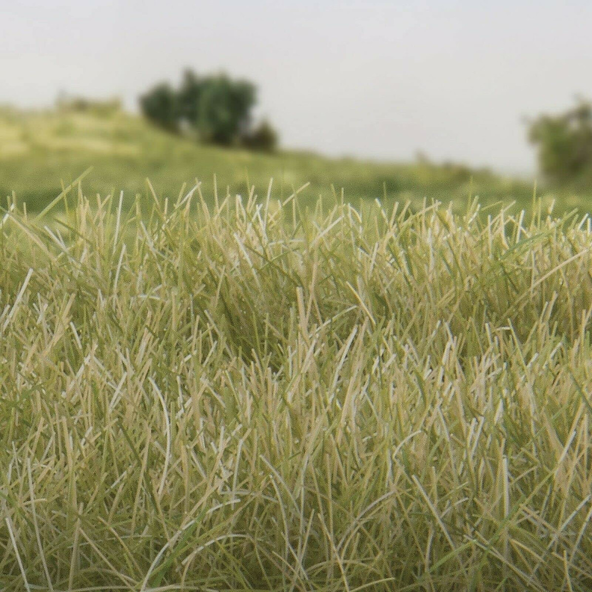 Woodland Scenics Static Grass Field System, Light Green 2mm, 4mm, 7mm, and 12mm (Pack of 4) - with Make Your Day Paintbrushes