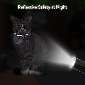 AirTag Cat Collar, Reflective Air Tag Cat Collar with Bell and Prefect Size Waterproof Airtag Holder Compatible with Apple Airtag, Cat Airtag Collar with Breakaway Safety Buckle for Kitten Puppy