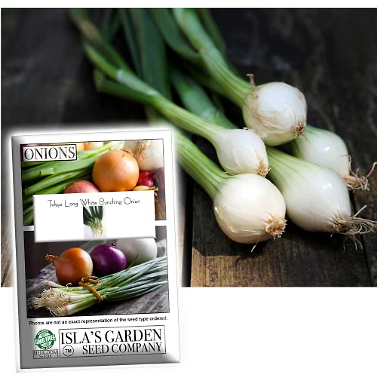 Tokyo Long White Bunching Onion Seeds for Planting, 300+ Heirloom Seeds Per Packet, (Isla's Garden Seeds), Non GMO Seeds, Botanical Name: Allium fistulosum, Garden Gift!