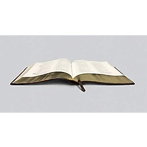 ESV Large Print Wide Margin Bible (TruTone, Brown/Cordovan, Portfolio Design)