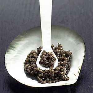 Caviar serving set - Caviar Spoons - Mother of Pearl Spoon Set with Gift Box Packaging - Serving Caviar Eggs and Dessert