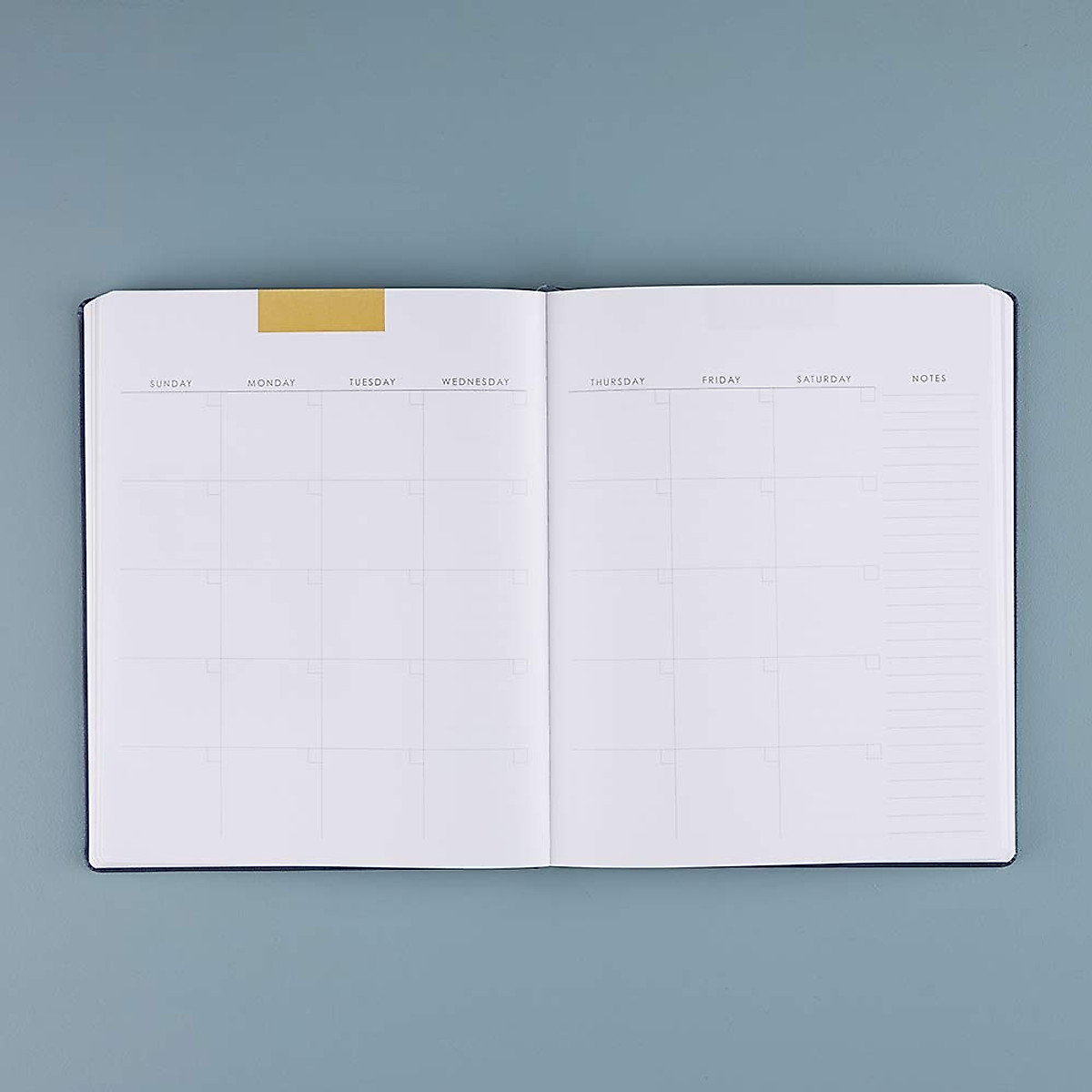 Erin Condren 12 Month Undated Softbound Focused Planner 8x10 - Navy Colored Cover, Layflat Design, College Ruled Lined & Dot Grid Note Pages, Monthly & Weekly Planning Spreads