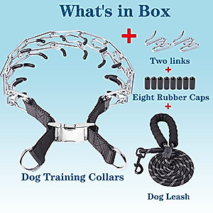 Prong Collar for Dogs, Pinch Collar for Dogs, Adjustable Dog Training Collar with Metal Quick Release Buckle for Small Medium Large Dogs (M Neck: 15"-18''