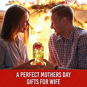 Norcalway Rose in Glass Dome with 6hr Timer - Beauty and The Beast Rose Decor in a Glass Dome for decorations-Premium Gift for anyone