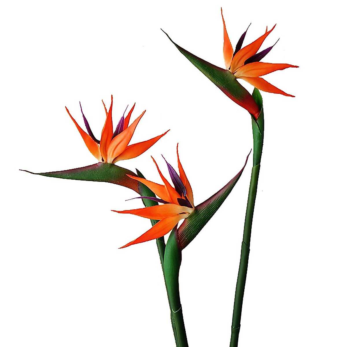 Calcifer 32'' Real Touch Bird of Paradise Artificial Flowers Bouquet for Home Garden Decoration/Wedding Party Decor (Goldenrod,5 Stems)