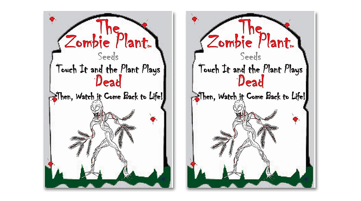 Grow Real Zombie Plants - Unique Fun Activity Pack