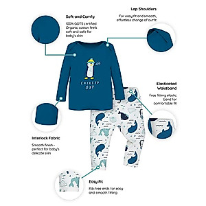 WINK & BLINK Artic Explorer Organic Baby Playwear Setss, 2-Pack Top & Bottom Set, 100% Organic Cotton Baby Clothes 9M