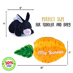 My Bunnies Plush Toy Set | Includes 4 Talking Fluffy Rabbits | Gray, Tan, Pink, and Black Bunnies with A Plush Carrot Shaped Carrier | Great Gift for Baby and Toddler Girls or Boys
