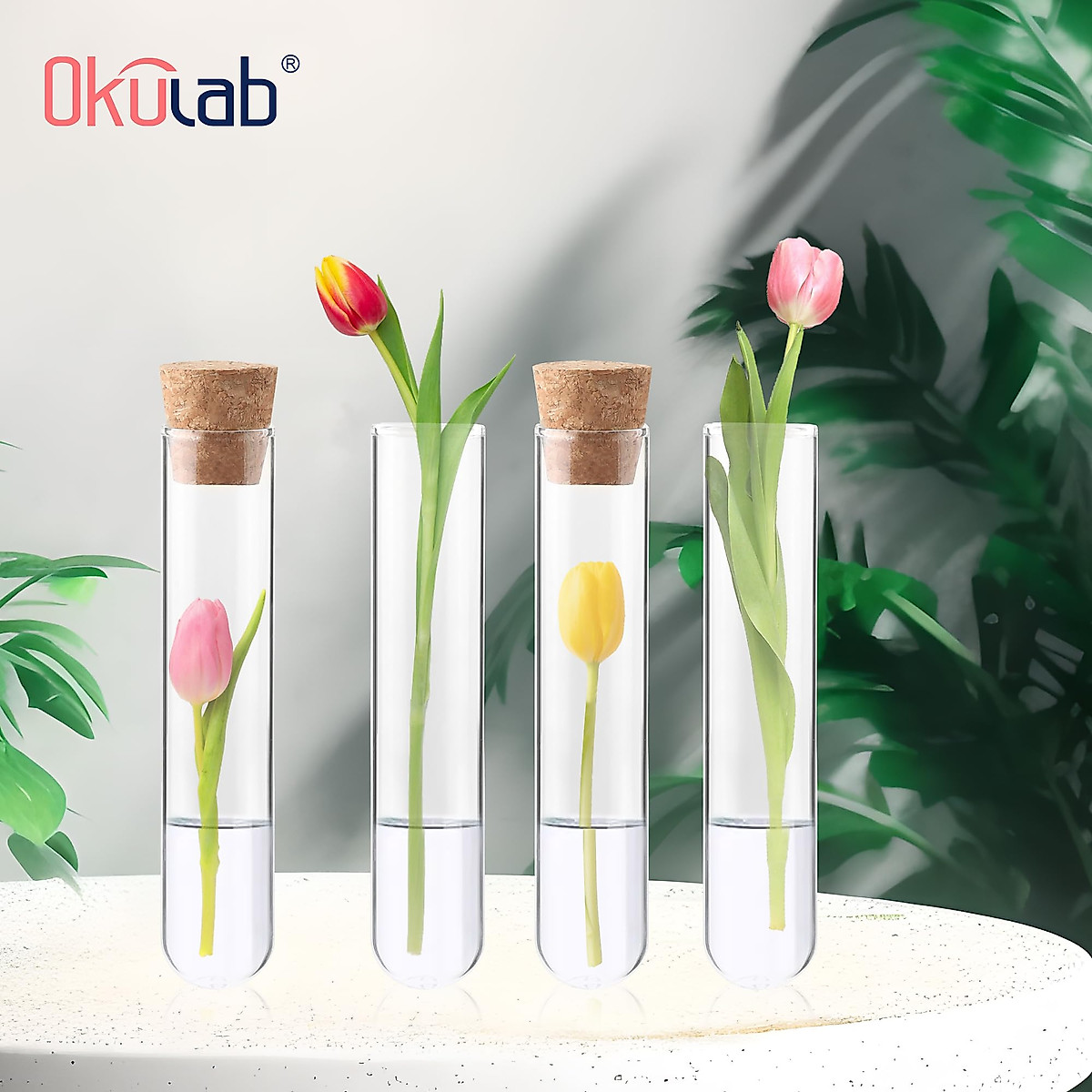 Okulab Clear Glass Test Tubes 50PCS, 16x150mm (20ml) Glass Test Tube with Cap and Brush for Scientific Plants, TTGS02A50